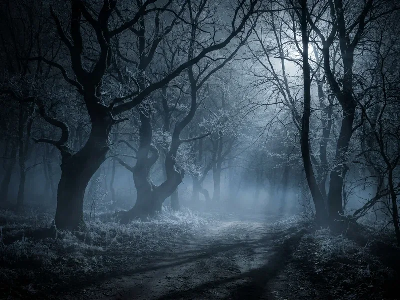 OD: Kojima Teases Fear-Breaking Mechanic for Xbox Horror Game | SmartCDKeys
