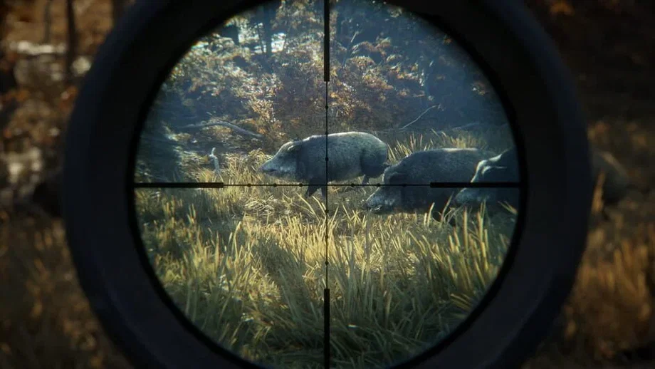 Buy TheHunter: Call of the Wild Gold Bundle (PC) CD keys — Best Price ...